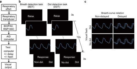 Figures And Data In Anterior Insular Cortex Plays A Critical Role In Interoceptive Attention ELife