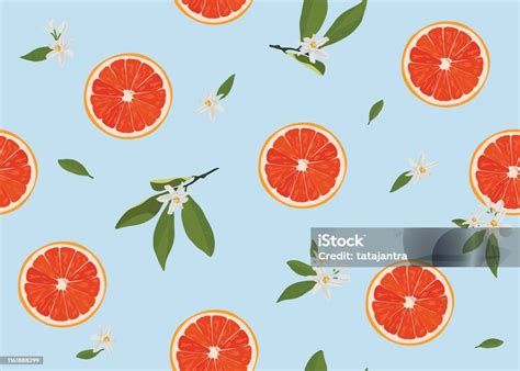 오렌지 과일은 파스텔 블루 배경에 꽃과 잎과 원활한 패턴을 슬라이스 자몽 감귤류 과일 벡터 그림입니다 0명에 대한 스톡 벡터 아트 및 기타 이미지 Istock