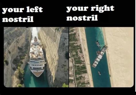 normal routine as a user scrolller