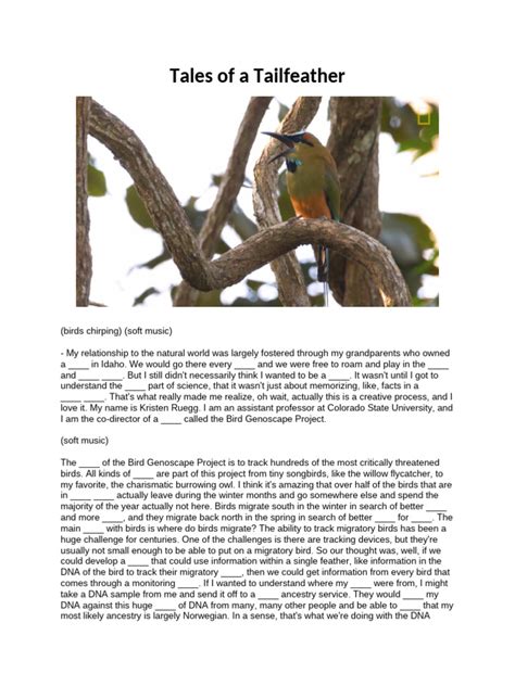 exercise pdf bird migration birds