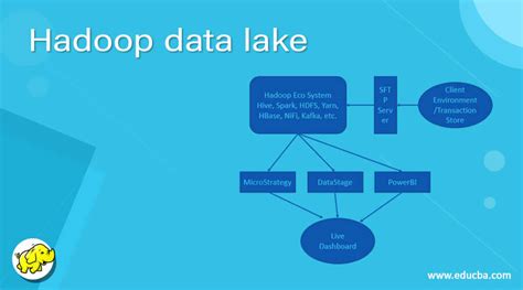 Hadoop Data Lake Learn How Hadoop Data Lake Works
