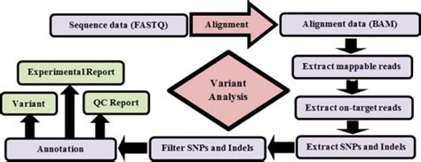 The Analysis Procedure Of Data Achieved By Es Download Scientific