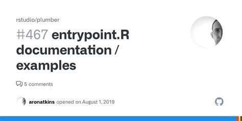 Entrypoint R Documentation Examples Issue Rstudio Plumber GitHub