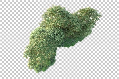 Premium PSD Green Landscape Isolated On Transparent Background D Rendering Illustration