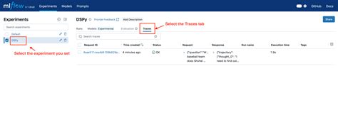 Debugging And Observability Dspy