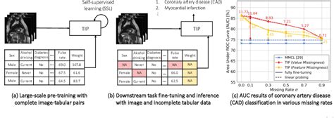 Tip Tabular Image Pre Training For Multimodal Classification With