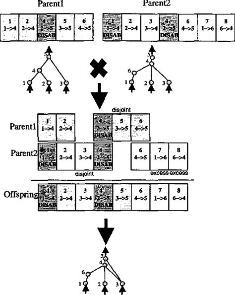 Neuroevolution Of Augmenting Topologies Semantic Scholar
