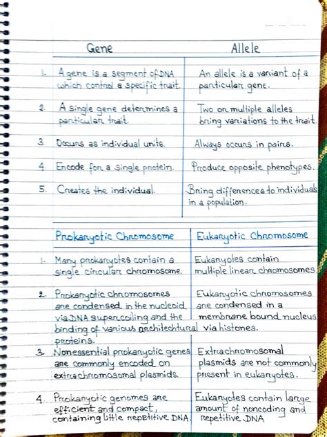 Genetics Differences Pdf Chromosome Mitosis