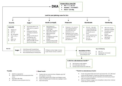 Corrected Dka Algorithm Pdf Disorders Of Endocrine Pancreas Diabetes