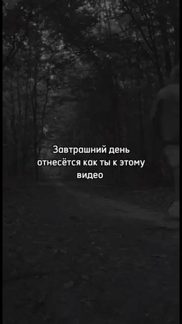 Клипы Своя культура