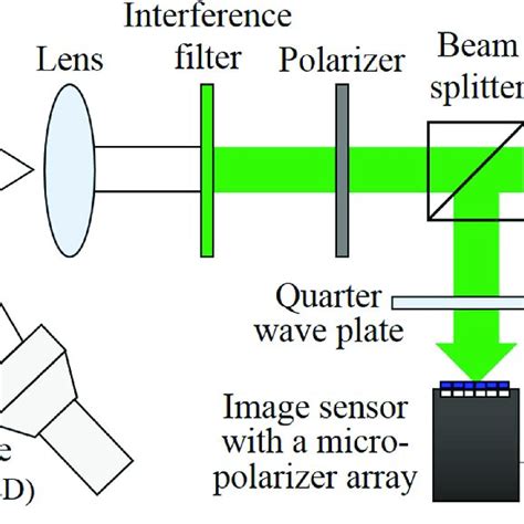 Schematic Of The Reflection Type Optical Setup For This Experiment Download Scientific Diagram