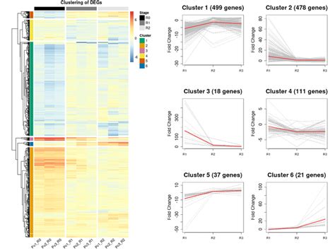 hierarchical clustering of 1064 degs for three biological replicates