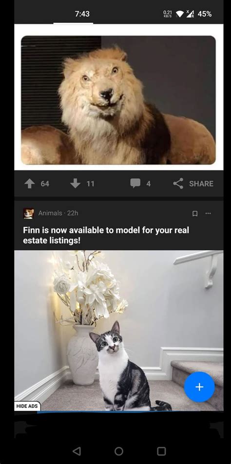 While Scrolling Gag GAG