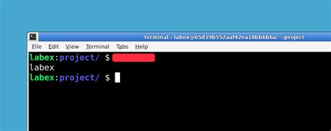 Linux Command User And Group Information Labex