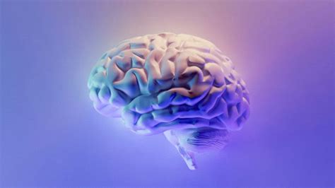 Neuralinks Electrode Thread Implanted In First Patients Brain Is Only Functioning 15 Of The