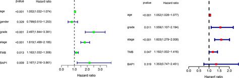 Univariate And Multivariate Cox Regression Analysis Univariate And