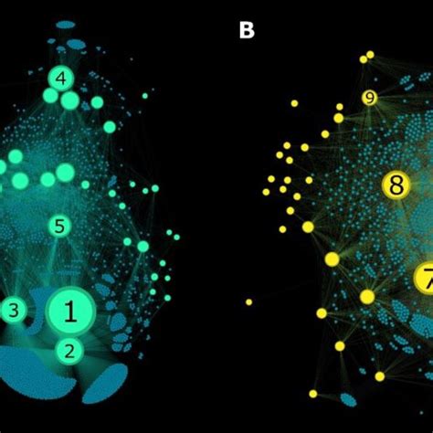Metadata Networks Metns Of A Database And B Function A Download Scientific Diagram