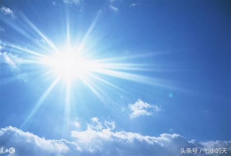 Intellij Idea插件如何實現代碼結構化視圖？ 每日頭條