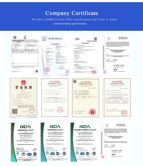 Factory Packing Automatic Heat Transfer Biomass Pellet Machine Thermal Oil Fryer Coal Fired