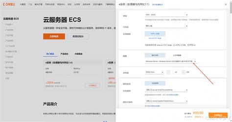 Net6后端webapi部署iis，托管web网站丨阿里云服务器丨sqlserver服务器部署丨发布一个让大家都可以访问的网站dotnet Hosting 6036 Win Csdn博客