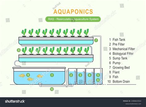 Recirculating Aquaculture Systems Ras Over 4 Royalty Free Licensable Stock Illustrations