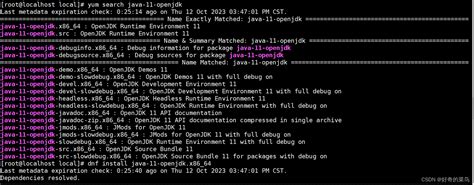 Centos8 Openjdk升级 Csdn博客
