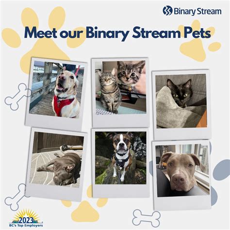 binary stream software erp solutions on linkedin mentalhealthawareness
