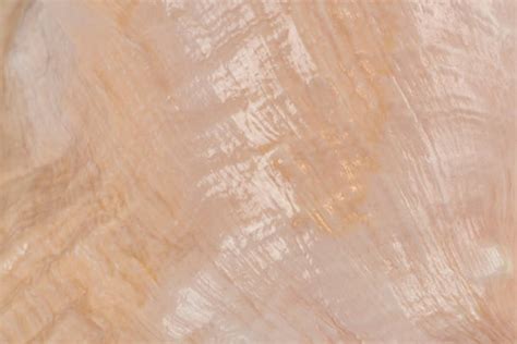 38 700 Conques Photos Photos Taleaux Et Images Libre De Droits Istock