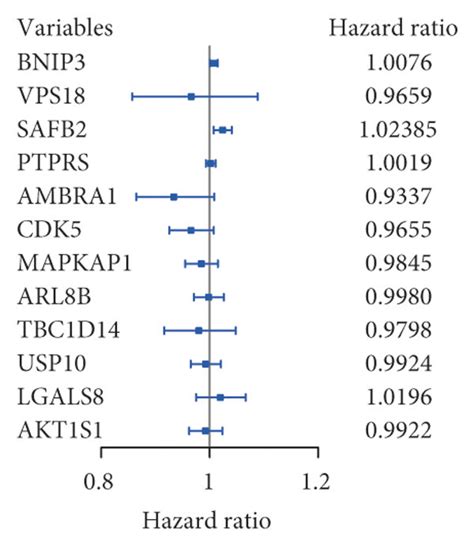 Construction Of The Prognostic Risk Model Based On Autophagy Related Download Scientific