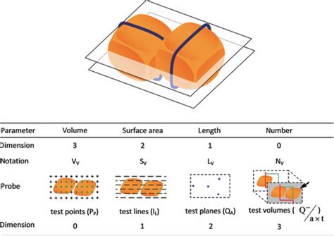 The Use Of Design‐based Stereology To Evaluate Volumes And Numbers In The Liver A Review With