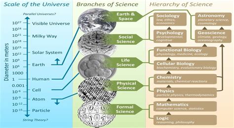 The Branches And Hierarchy Of Science Source Wikipedia Download