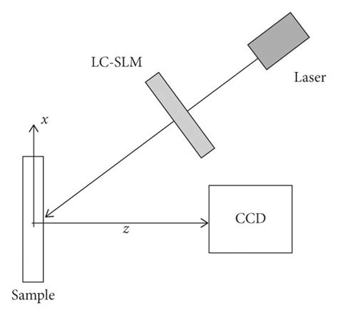 Geometry Of The Talbot Fringe Projection Download Scientific Diagram