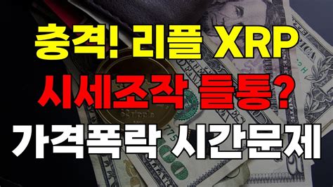 리플 사실로 밝혀지면 지옥 가는 겁니다 Youtube