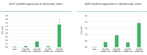 Custom Circular Rna Synthesis Genscript