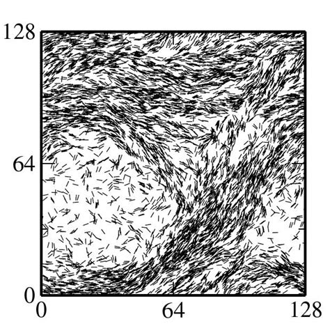 This Figure Shows A Snapshot From A Simulation With Elongated