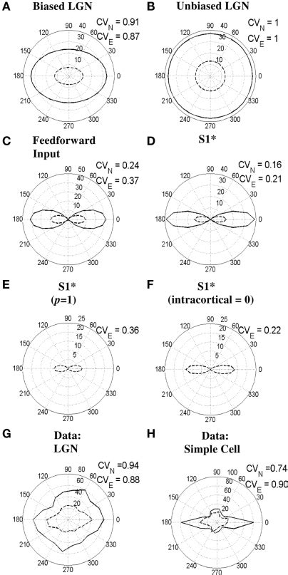 Effects Of Electrical Stimulation In The Lgn On Orientation Selectivity