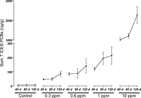 Bioaccumulation Of 7 Ices Pcb In The Muscle As A Function Of Time In Download Scientific