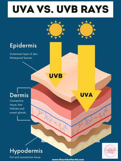 The Ultimate Guide To Choosing The Best Uva Sunscreen For Your Skin Flourishafter40