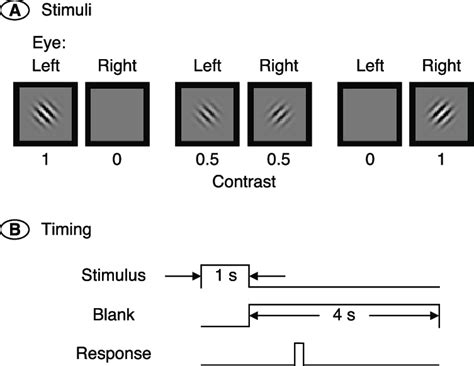 Stimulus Spatial Form And Timing A The Stimulus Was A Gabor Patch