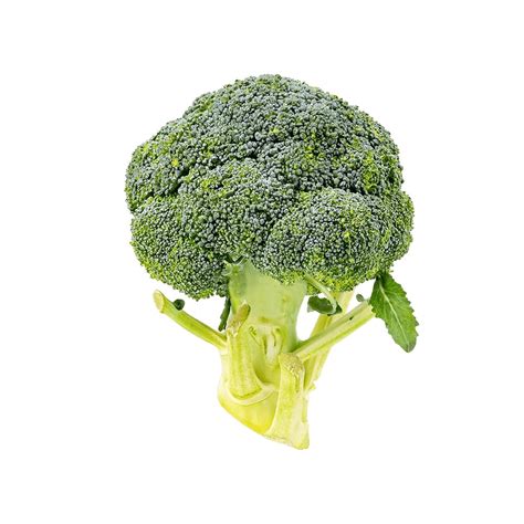 Hydroponic Broccoli Price Buy Online At Best Price In India