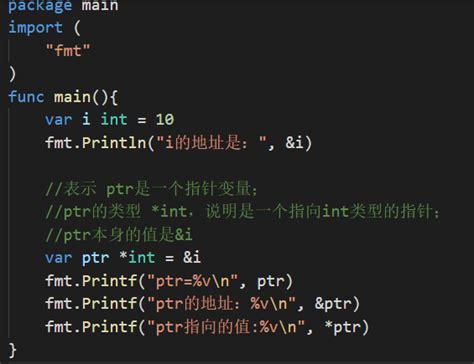 Golang指针基本介绍及使用案例 温柔的风 博客园