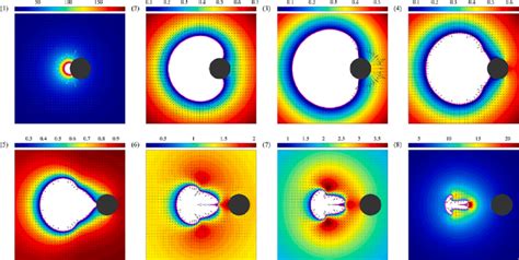 Bubble Particle Interaction Process 215 Download Scientific Diagram