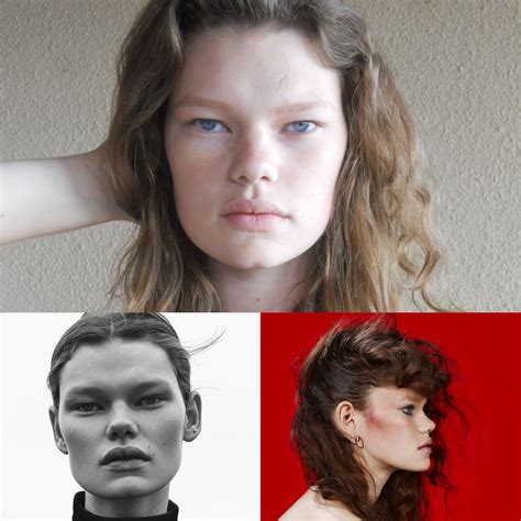 Classify An American Model Rphenotypes