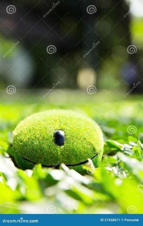 Green Computer Mouse Stock Image Image Of Environmentally 27458671