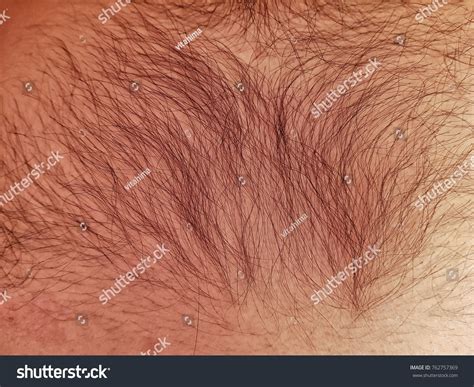 Men Trimming Chest Trimmer Images Stock Photos Vectors Shutterstock