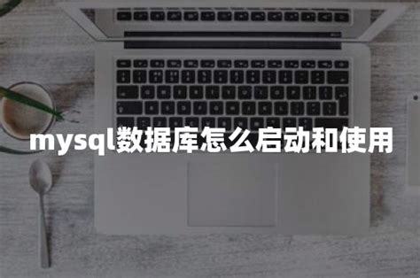 mysql数据库怎么启动和使用 pingcap 平凯星辰