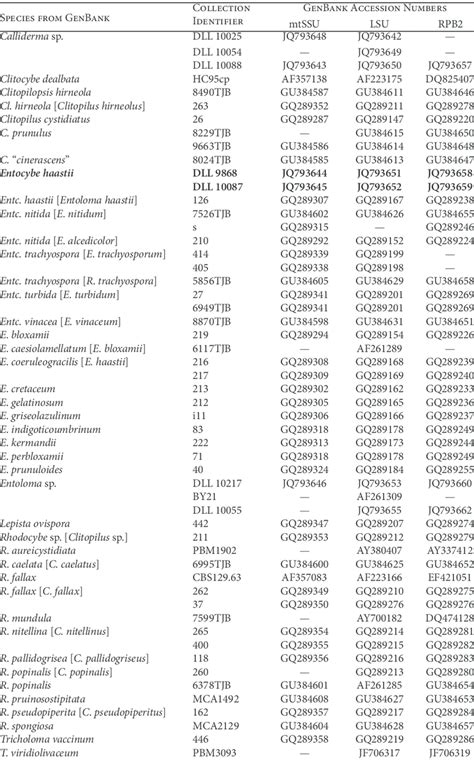 Collections Used In The Phylogenetic Analyses Download Table