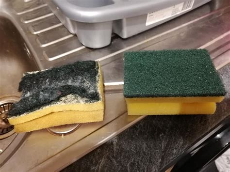 There S No Better Feeling Than Replacing A Dirty Sponge GAG
