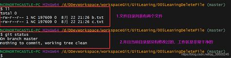 git基础 删除文件 rm git rm 命令详解 源码巴士