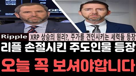 리플전망 리플 Xrp 주가의 상승과 하락을 견인시킨 주인공들이 이렇게 등장하네요 오늘 영상은 꼭 보셔야합니다 리플전망 리플호재 리플급등 리플코인 리플소송